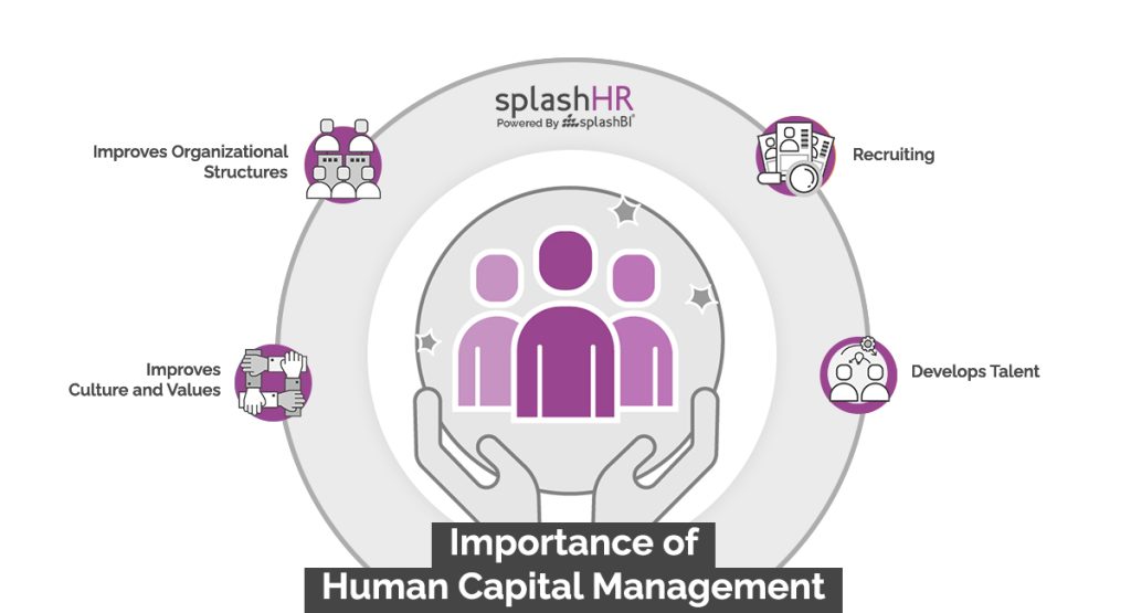 What Is Human Capital In An Organization? – JCDAT