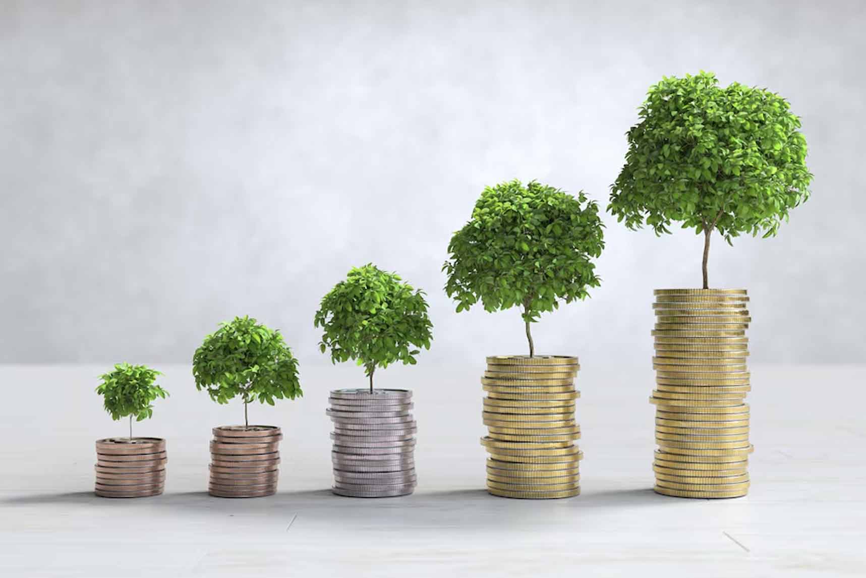 Top 5 Oracle Fusion Cloud Reporting Tools for Finance Teams